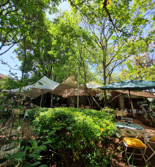 Paputzis – Welcome to Paputzis. Enjoy our delicious menu, wine garden ...